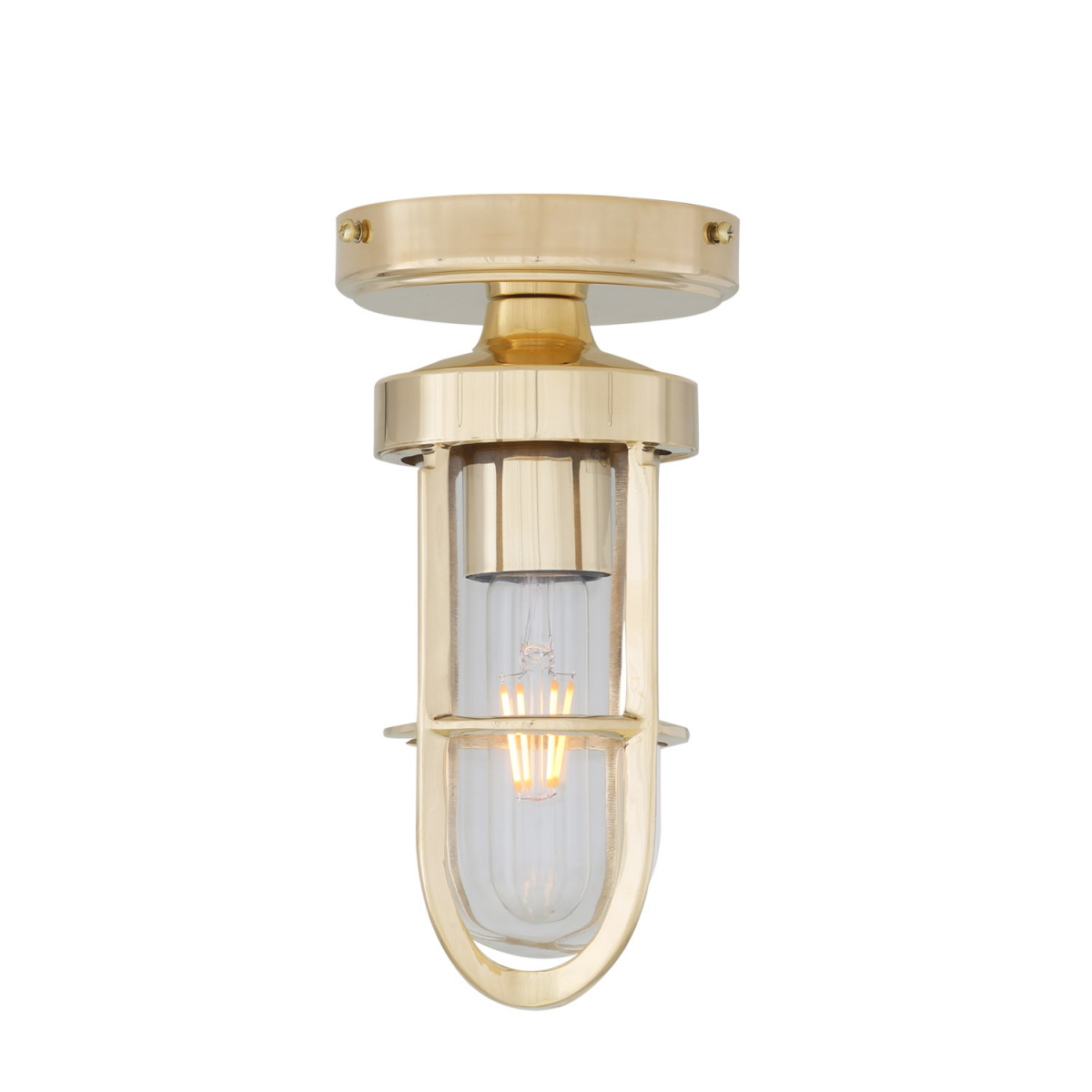 Oregon A Cage Well Glass Flush Ceiling Light IP65 | Mullan Lighting